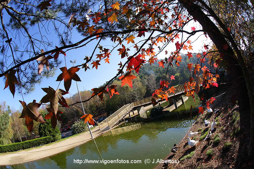 FOTOS DE PAISAJES DE OTOÑO. OTOÑALES. - VIGO. GALICIA - P4