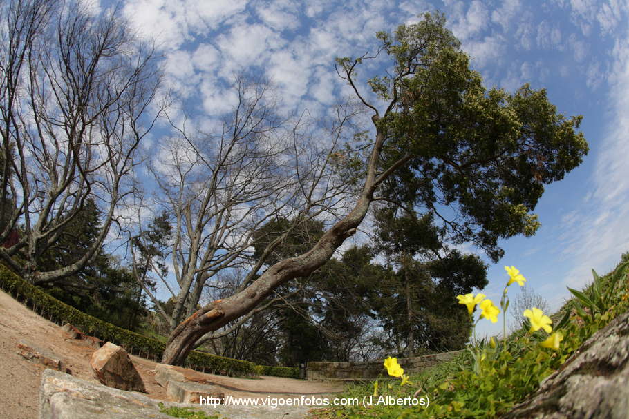PHOTOS OF SPRING IN SPAIN. FLOWERS AND LANDSCAPES - VIGO BAY. GALICIA ...