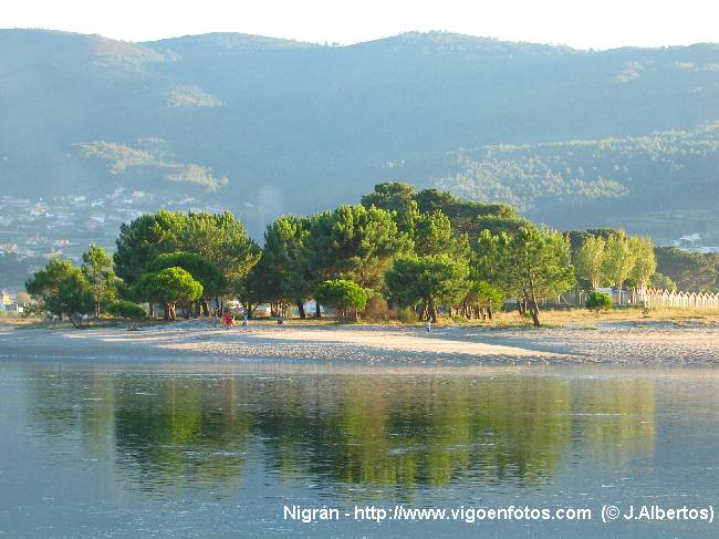 PHOTOS OF EVERGLADES OF MINOR - NIGRÁN - NATURE - NIGRÁN. VIGO BAY ...