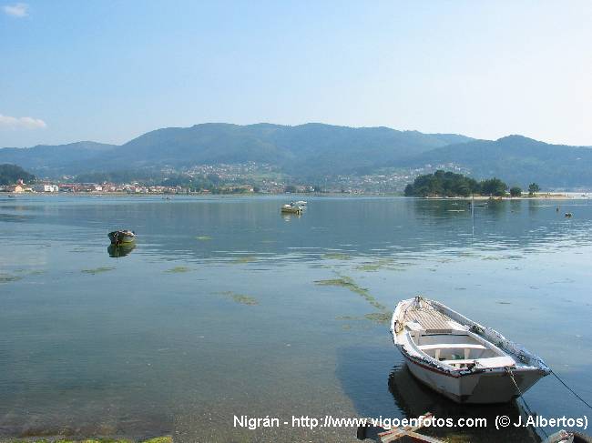 PHOTOS OF EVERGLADES OF MINOR - NIGRÁN - NATURE - NIGRÁN. VIGO BAY ...