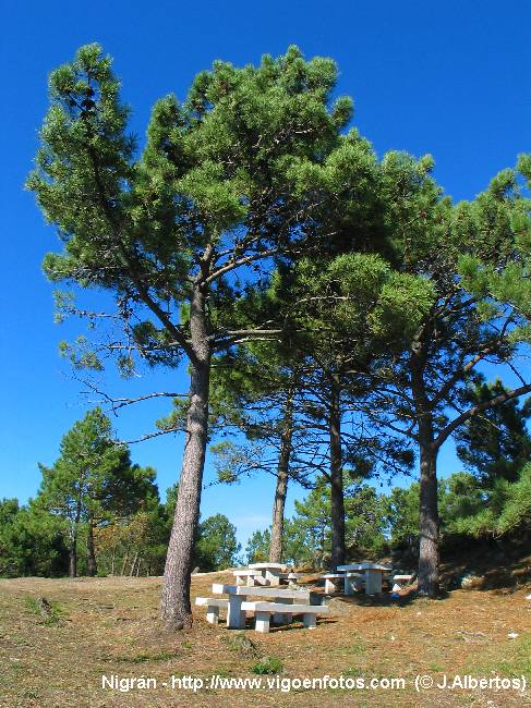 PHOTOS OF MONTEFERRO - NIGRÁN - NATURE - NIGRÁN. VIGO BAY. GALICIA ...