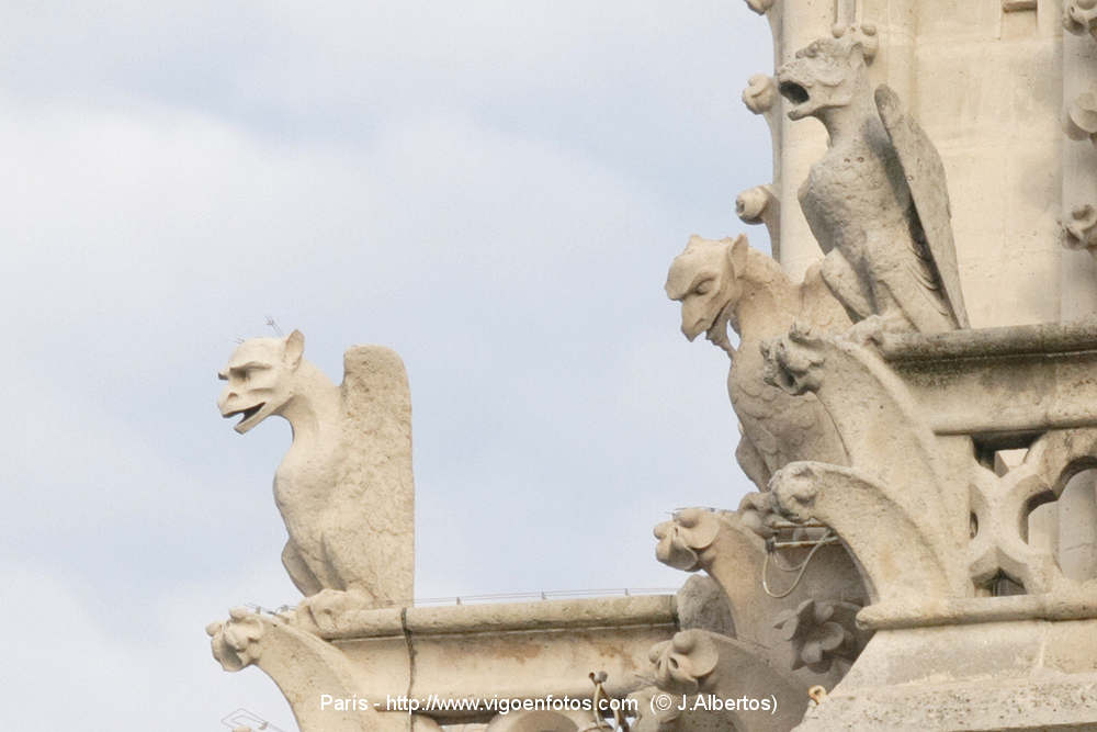 Asas de Fada: Mitologia: Gargulas