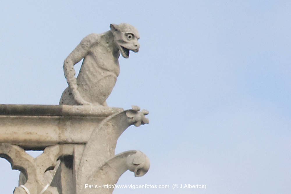 IMAGENS DE GÁRGULAS DA CATEDRAL DE NOTRE-DAME PARIS - GARGOLAS ...