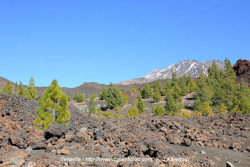 FOTOS DE PARQUE NACIONAL DEL TEIDE. TENERIFE. ISLAS CANARIAS. - PARQUE ...